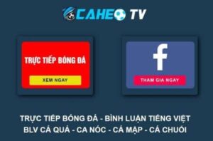 Caheo TV – Link Vào Cá Heo TV Bóng Đá Nhanh Nhất - Bsport